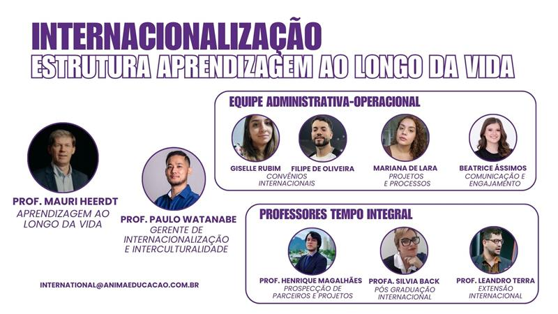 Estrutura da Internacionalização no Ecossistema Ânima